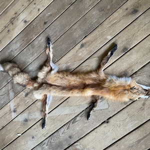 10 Natural or Dyed Snowshoe Rabbit Front Feet Fly Tying Lures Jigs ...