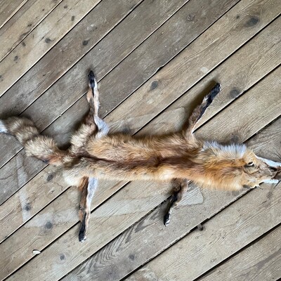 10 Natural or Dyed Snowshoe Rabbit Front Feet Fly Tying Lures Jigs ...