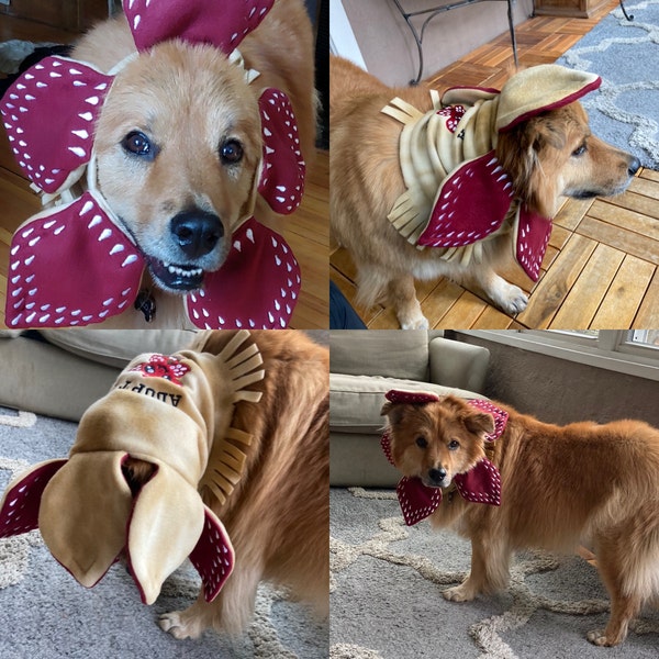 Demodog Demogorgon Stranger Things Inspired Embroidered Dog Costume ...