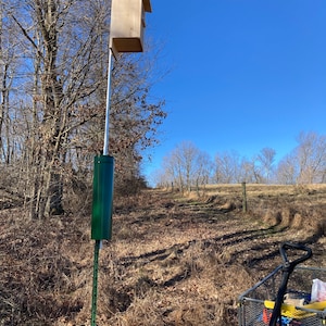 Petterson Style Blue Bird Boxes 2 Boxes - Etsy