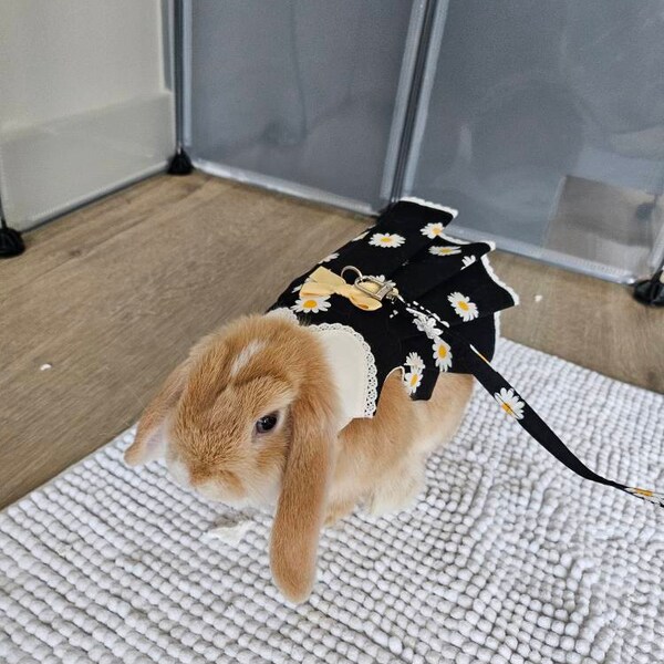 Mini Dot Pattern Harness for Only Rabbit Bunny, Dress Harness and Leash ...