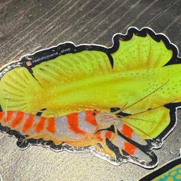 Sunshine Pleco Sticker (holographic) | Fish Art Sticker | Aquarium Art ...