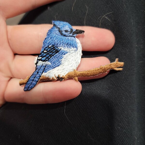 Blue Jay Pin Brooch Bird Spring Embroidered Theme Jewlery - Etsy