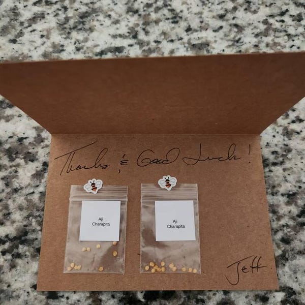 Vilma Micro Dwarf Tomato Seeds Florida Heat Friendly - Etsy
