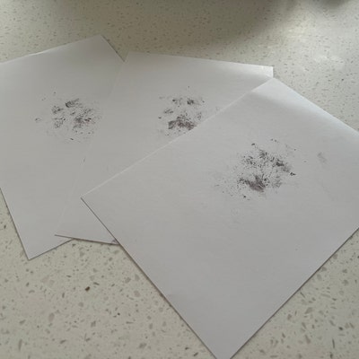 Inkless Pet Paw Print Kit Get High-quality Paw Prints With Zero Ink Non ...