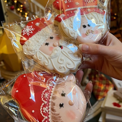 Parakeet Cookies Bird Cookies - Etsy