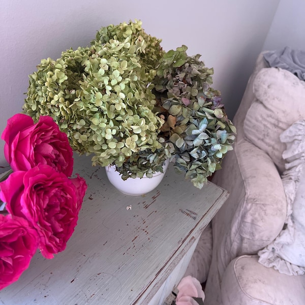 Dried Hydrangea Stems - Limelight Paniculata Small Size Blooms - Last ...