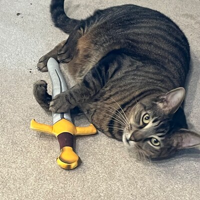 Epic Items Catnip Toy Arming Sword, Kitty Kicker, Filled W/certified ...