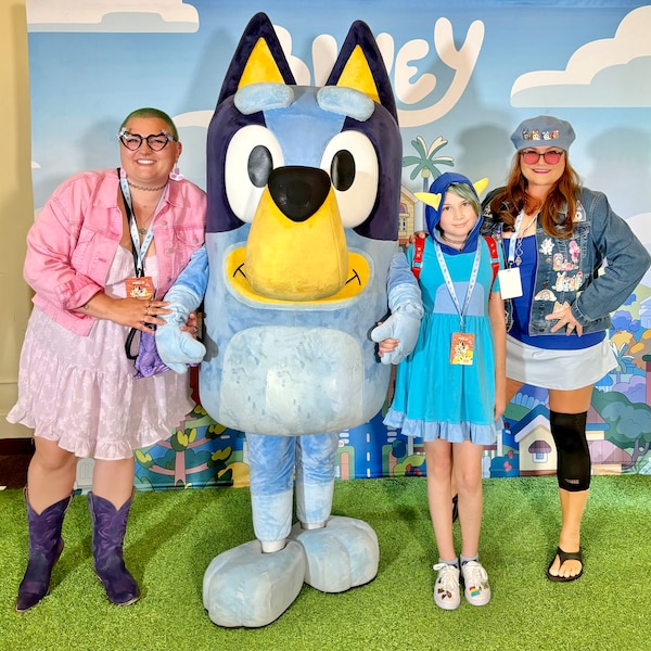 Bluey Bingo Bandit Chilli Heeler Family Dog Cartoon Characters Iron on ...