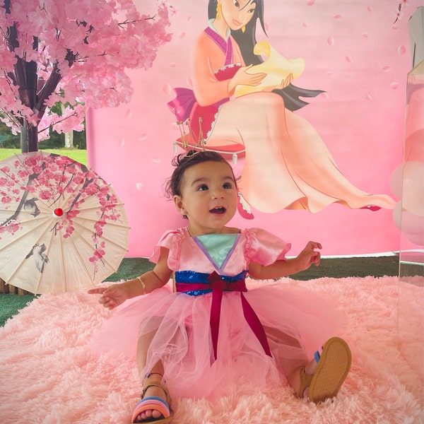 Mulan Inspired Tutu Dress / Mulan Costume / Mulan Dress/ Cakesmash ...