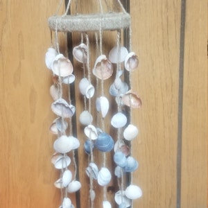 Seashells Hanging Beach Decor Sea Shell Art Ocean Vibes - Etsy