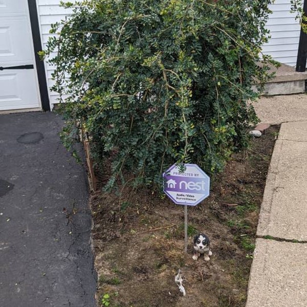 Xfinity 100% Aluminum Security Yard Sign Reflective With (6) Window ...