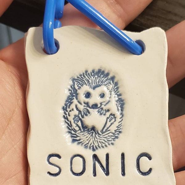 Personalized Hedgehog Cage Name Plate, Tags or Ornaments - Etsy