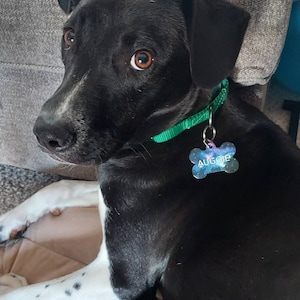 Cow Print Dog Tag Animal ID Tag Farm Dog Tag Double Sided | Etsy