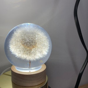 Dandelion Night Light, Real Dandelion Puff Paperweight, Flower Epoxy ...