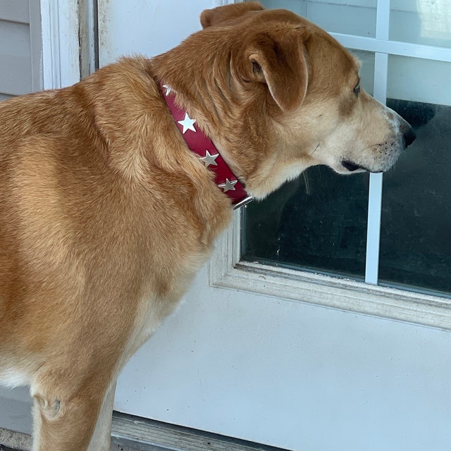 Dogla by Dogla on Etsy