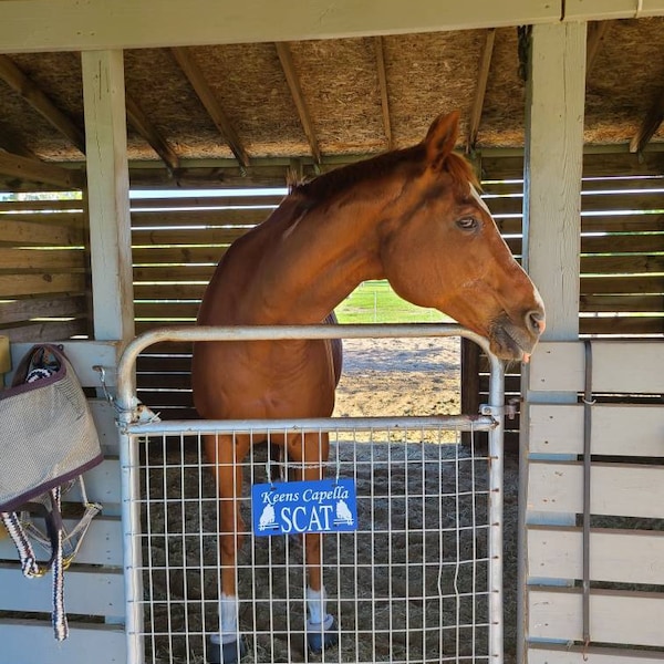 Personalized Horse Stall Emergency Contact Sign | Custom Horse Show ...