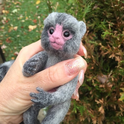 Made to Order, Monkey, Gifts, Marmoset Monkey, Miniature Monkey, Pygmy ...
