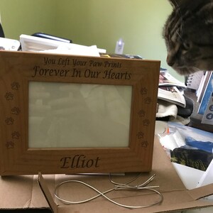 Custom Cat Frame, Pet Memorial Frame, in Memory of Cat, Memorial for ...