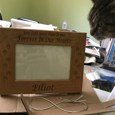 Custom Cat Frame, Pet Memorial Frame, in Memory of Cat, Memorial for ...