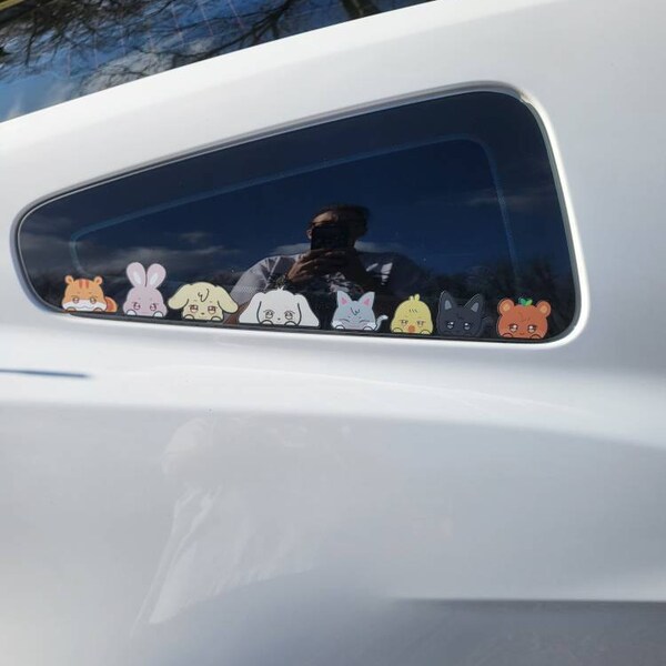 Stray Kids Skzoo Mini Pickets Individual Members | SKZ KPOP Mini Fans ...