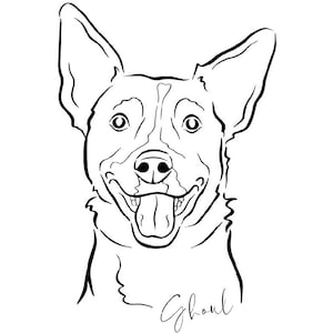 Blue Heeler Dog Coloring Pages Coloring Pages