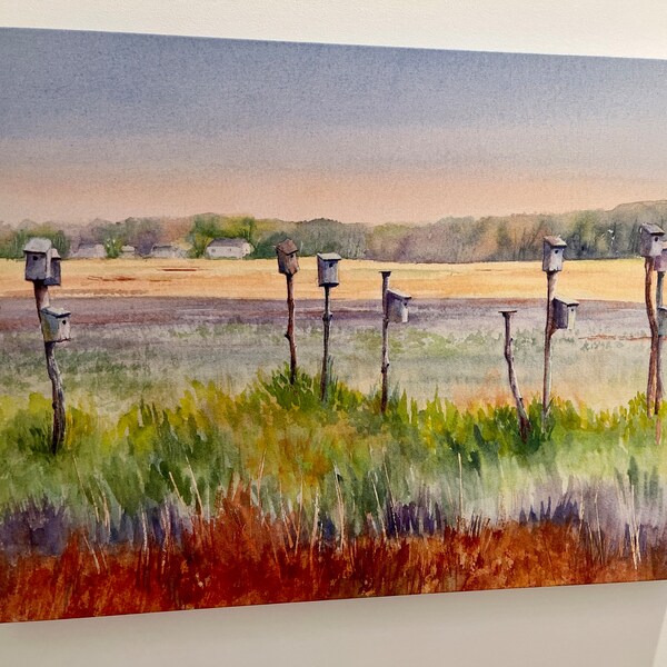 Cape Cod Sailboats Beach Roses Watercolor Print, Coastal Wall Art ...