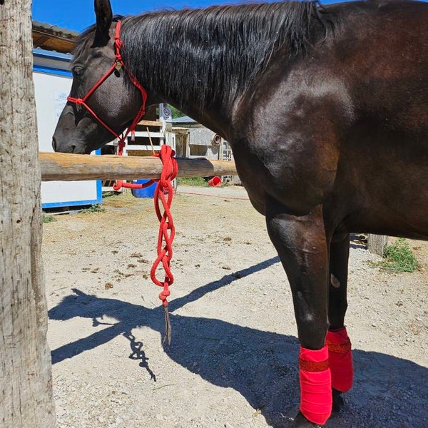 Sheep Leg Wraps, Goat Leg Wraps, Mini Horse Leg Wraps, Serape Cheetah ...