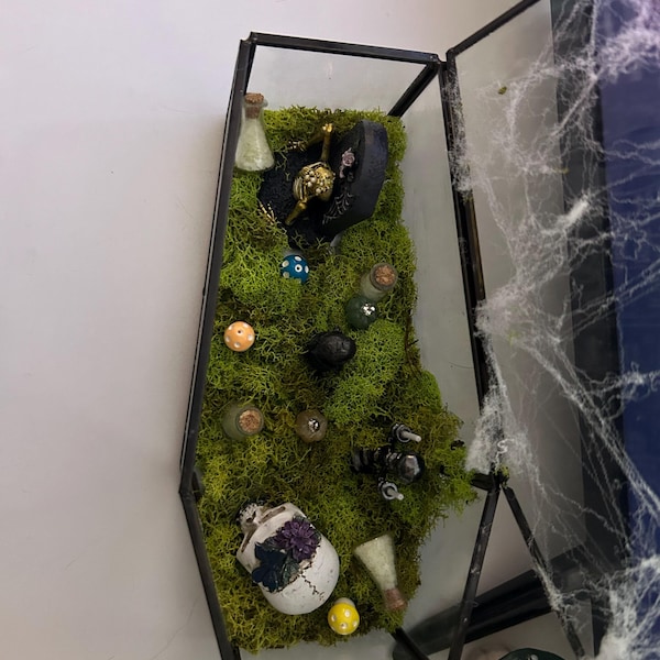 My Legs! Gothic Skeleton Coffin Terrarium – Spooky Halloween Decor ...