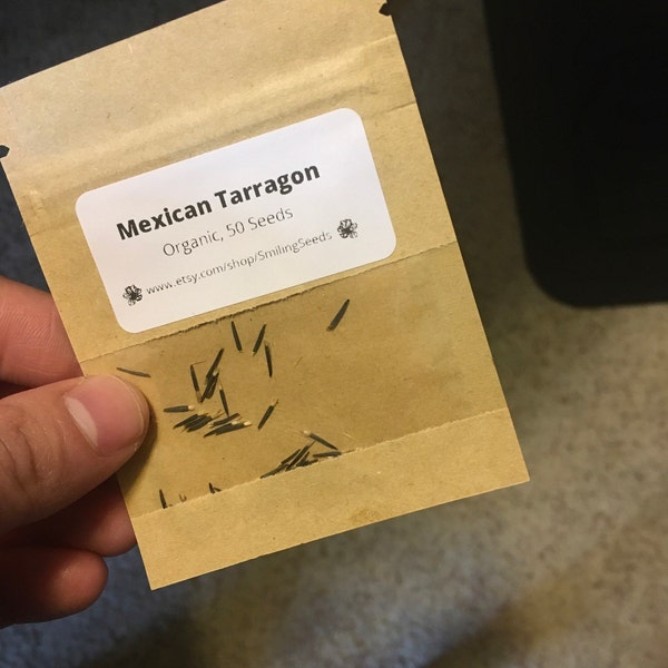 Vidalia Onion, 200 Seeds, Yellow Granex Hybrid F1, Sweetest Onion ...