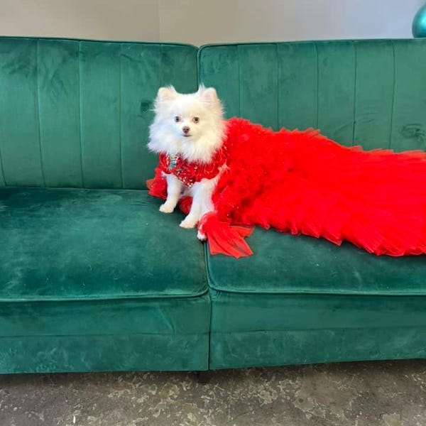 Dog Wedding Long Trailing Gown, Customizable Dog Wedding Dress ...