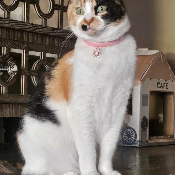 Princess Cat Collar. Rhinestone Cat Collar,pink Velvet Dog Collar ...