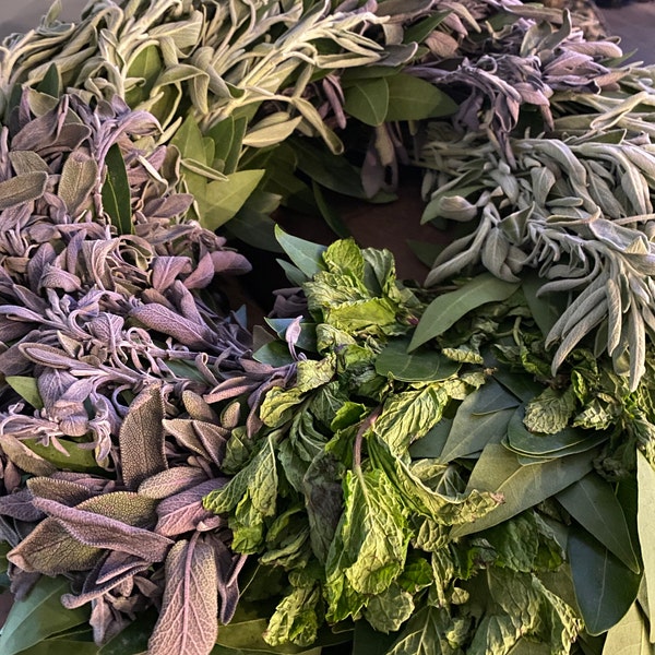 Bittersweet Bundle of Twigs and Berries, Real Bittersweet Vine and ...