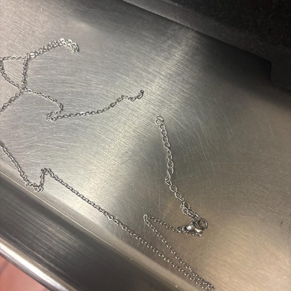 Handmade Pressed Flower Small Oval Locket Necklace Gold Silver Tone ...