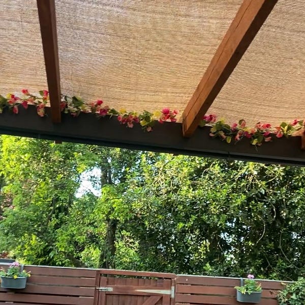 Birch Tree Bark Roll 300cm Long X 15cm Wide - Etsy