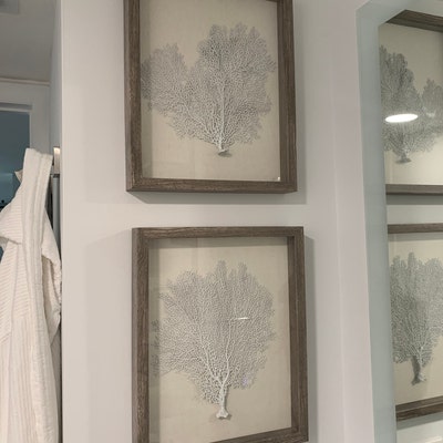 Set of 2 Framed Sea Fans, White Sea Fans, Sea Fan Art, Sea Fan Decor ...
