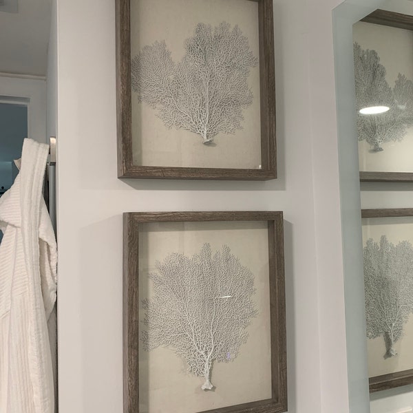Set of 2 Framed Sea Fans, White Sea Fans, Sea Fan Art, Sea Fan Decor ...