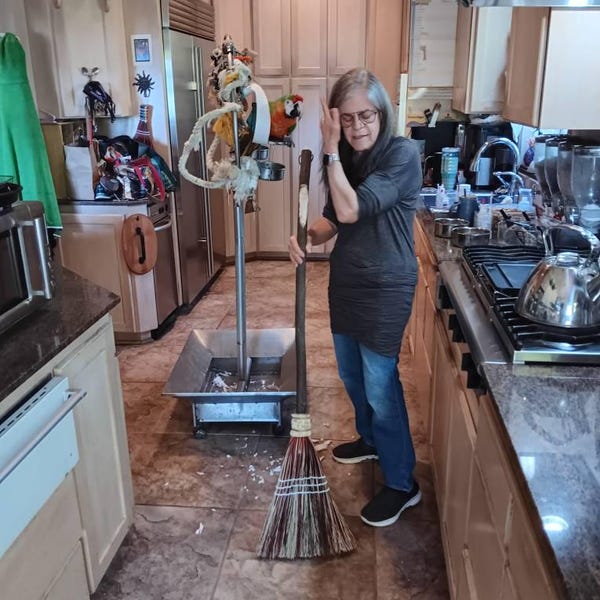 Rustic Jumping Broom Full Size Wedding Broom Ceremonial Jumping Broom ...