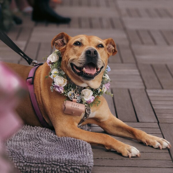 Dog Flower Collar, Dog Wedding Flower Wreath, Faux Greenery and Silk ...
