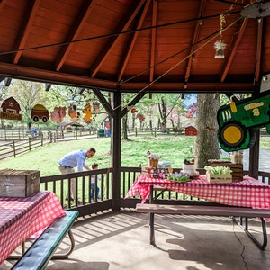 Sunflower Pinata Flower Theme - Etsy