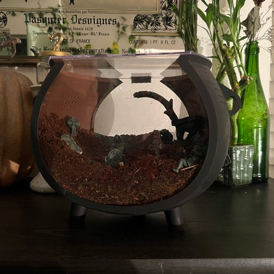 Jumping Spider Enclosure. Small Cauldron Acrylic Glass Enclosure for ...