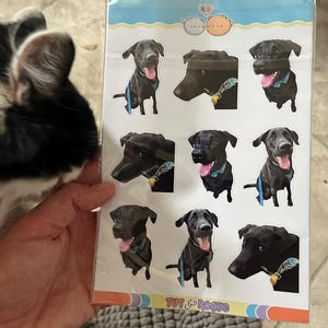 Hippo Sticker Sheet - Etsy