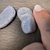 Blue Coral Tumbled Stone - Blue Coral Crystal Stones –protection Stone ...