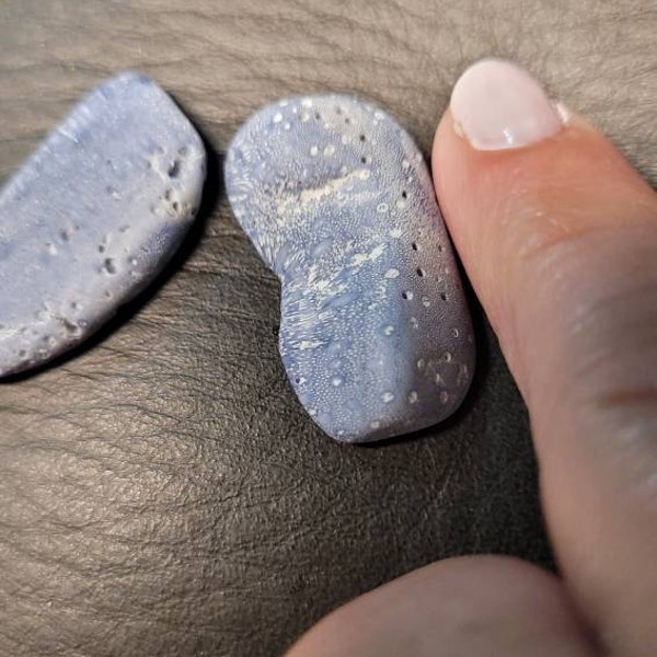 Blue Coral Tumbled Stone - Blue Coral Crystal Stones –protection Stone ...