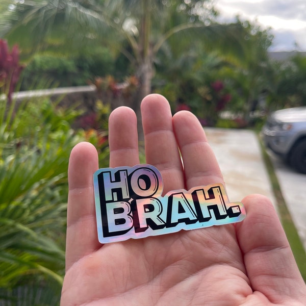 Hawaii Loco Moco Vinyl Sticker - Etsy