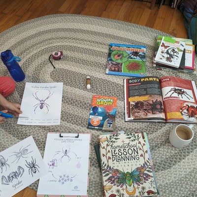 A Thing Called Snow Family Literature and Activity Guide Snow Nature ...