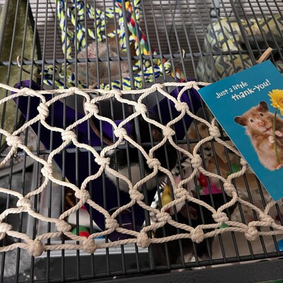 Handmade Rope Ladders/nets - Etsy