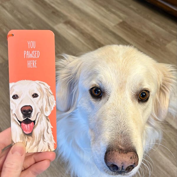 Dog Birthday Card, Bully Card, American Bully Birthday Card, American ...