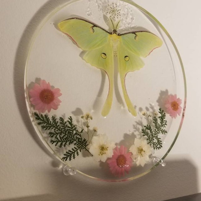 Beautifully creepy resin pieces by NickiLilShopOfHorror on Etsy