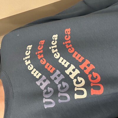 Subtle LGBTQ Rainbow Desert Flag Gift for LGBT Gay Lesbian Bisexual ...